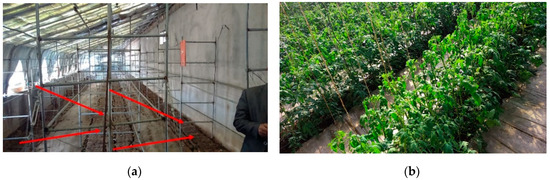 Increasing Sustainability of Growing Media Constituents and Stand-Alone ...