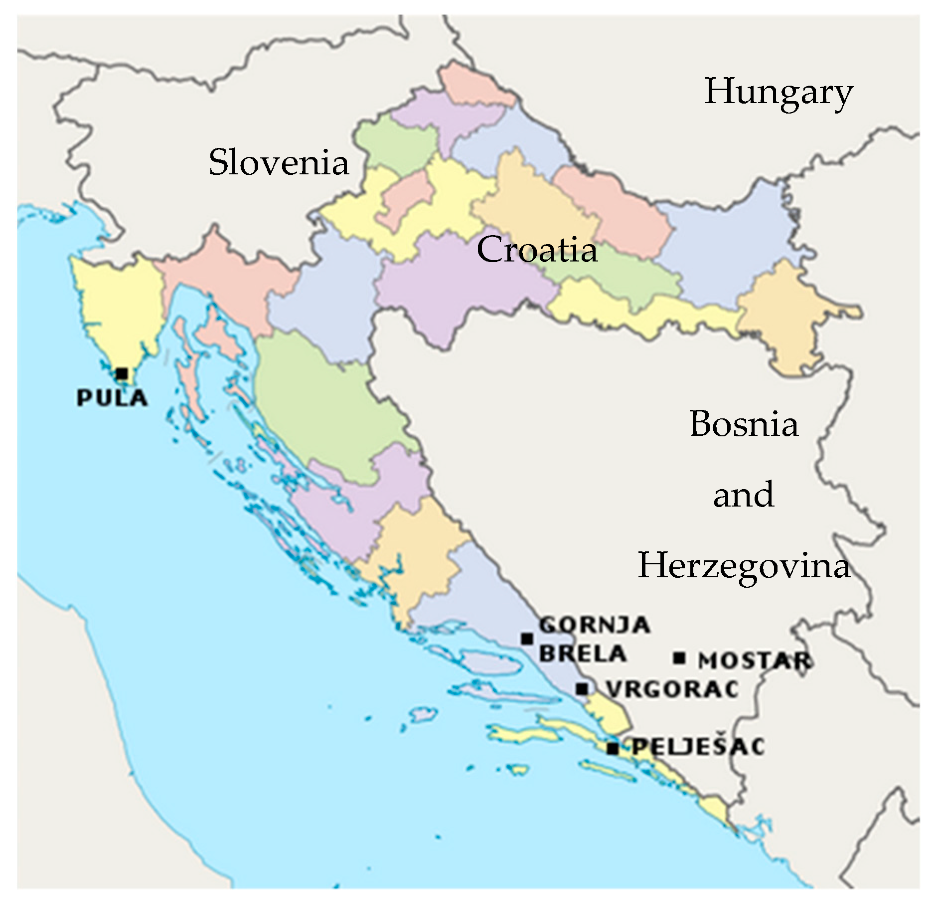 Influence of Seed Origin on Morphological Characteristics and ...