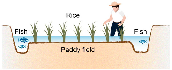 Contingent Valuation of Sustainable Integrated Agriculture–Aquaculture ...