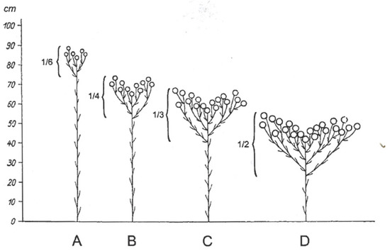 Domestication of Perennial Flax Using an Ideotype Approach for Oilseed ...