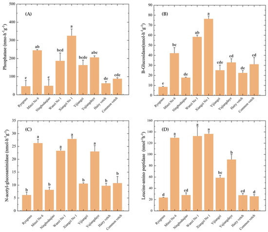 Improved Accumulation Capabilities of Phosphorus and Potassium in Green ...