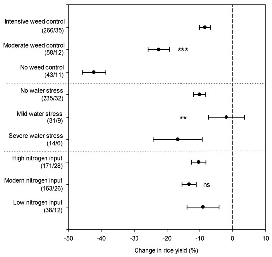 Comparing the Grain Yields of Direct-Seeded and Transplanted Rice: A ...