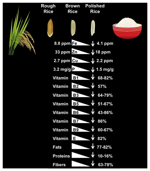 Rice Biofortification: High Iron, Zinc, and Vitamin-A to Fight against ...