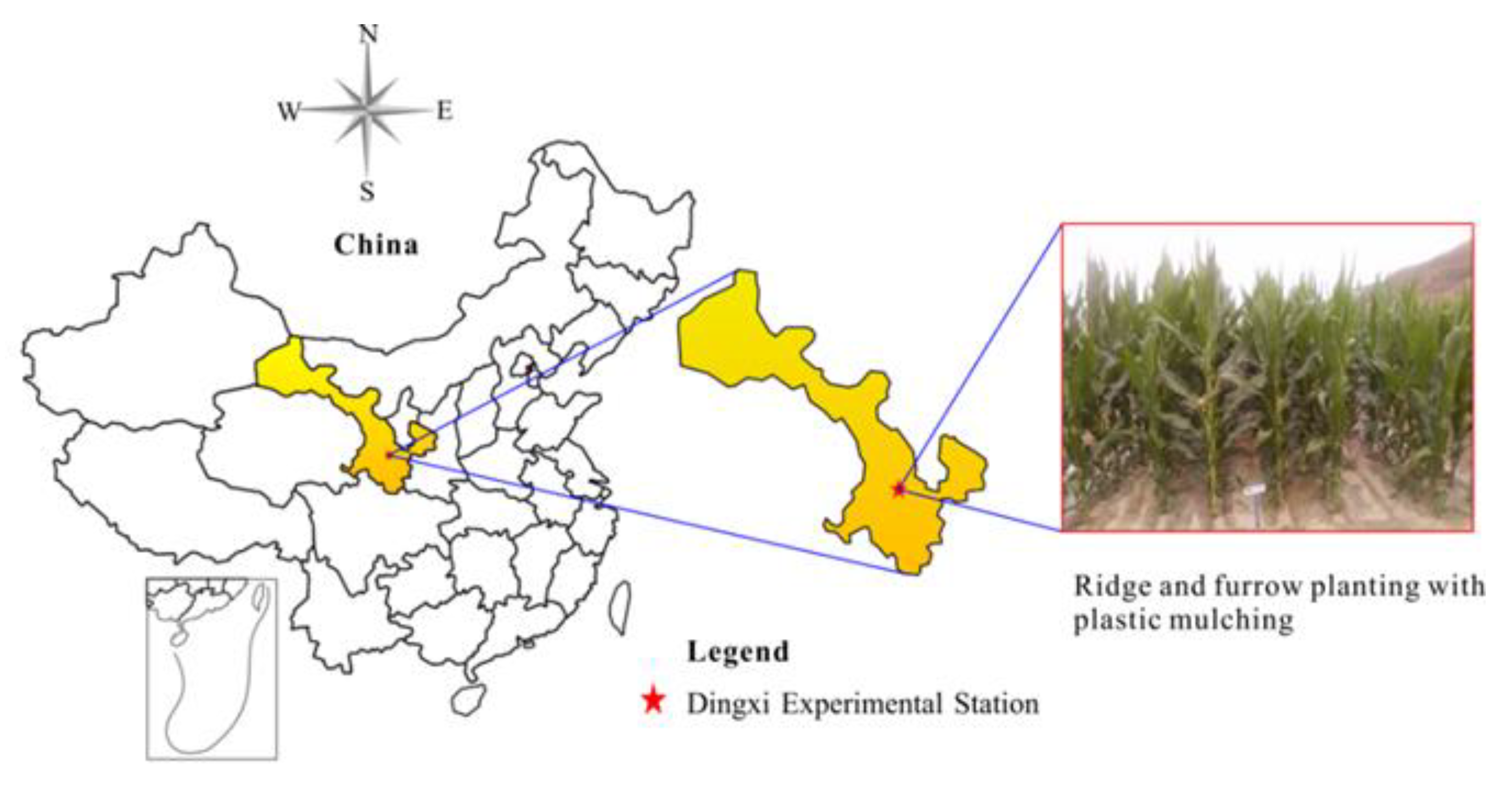 Incorporation of Manure into Ridge and Furrow Planting System Boosts ...