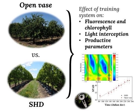Agronomy | Free Full-Text | Comparison of SHD and Open-Center Training ...