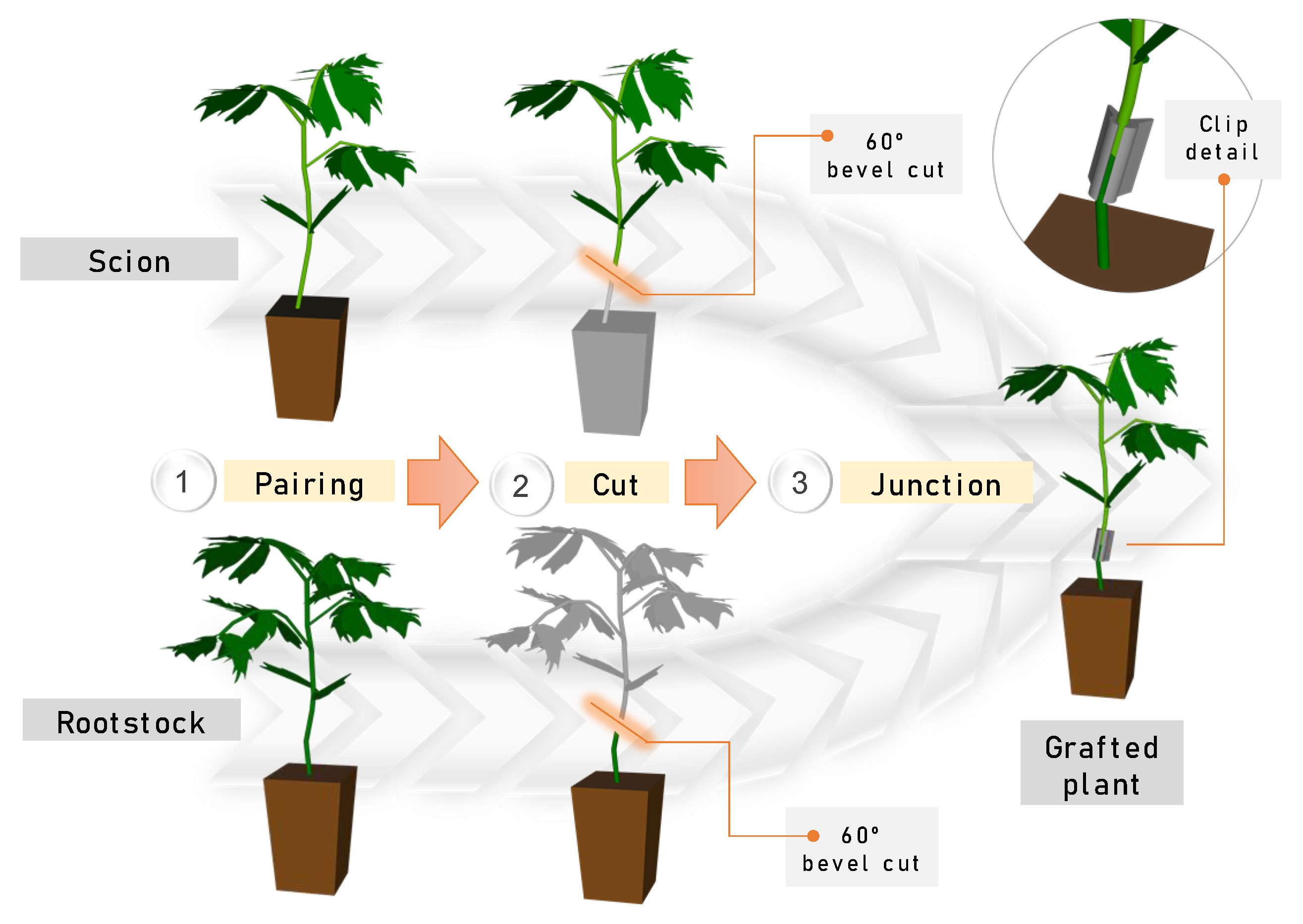 Conventional Industrial Robotics Applied to the Process of Tomato ...