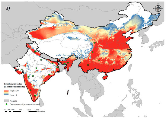 The Potential Distribution of the Potato Tuber Moth (Phthorimaea ...