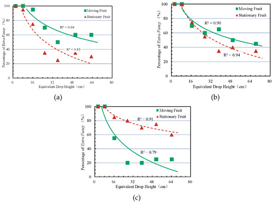 Bruise Patterns of Fresh Market Apples Caused by Fruit-to-Fruit Impact