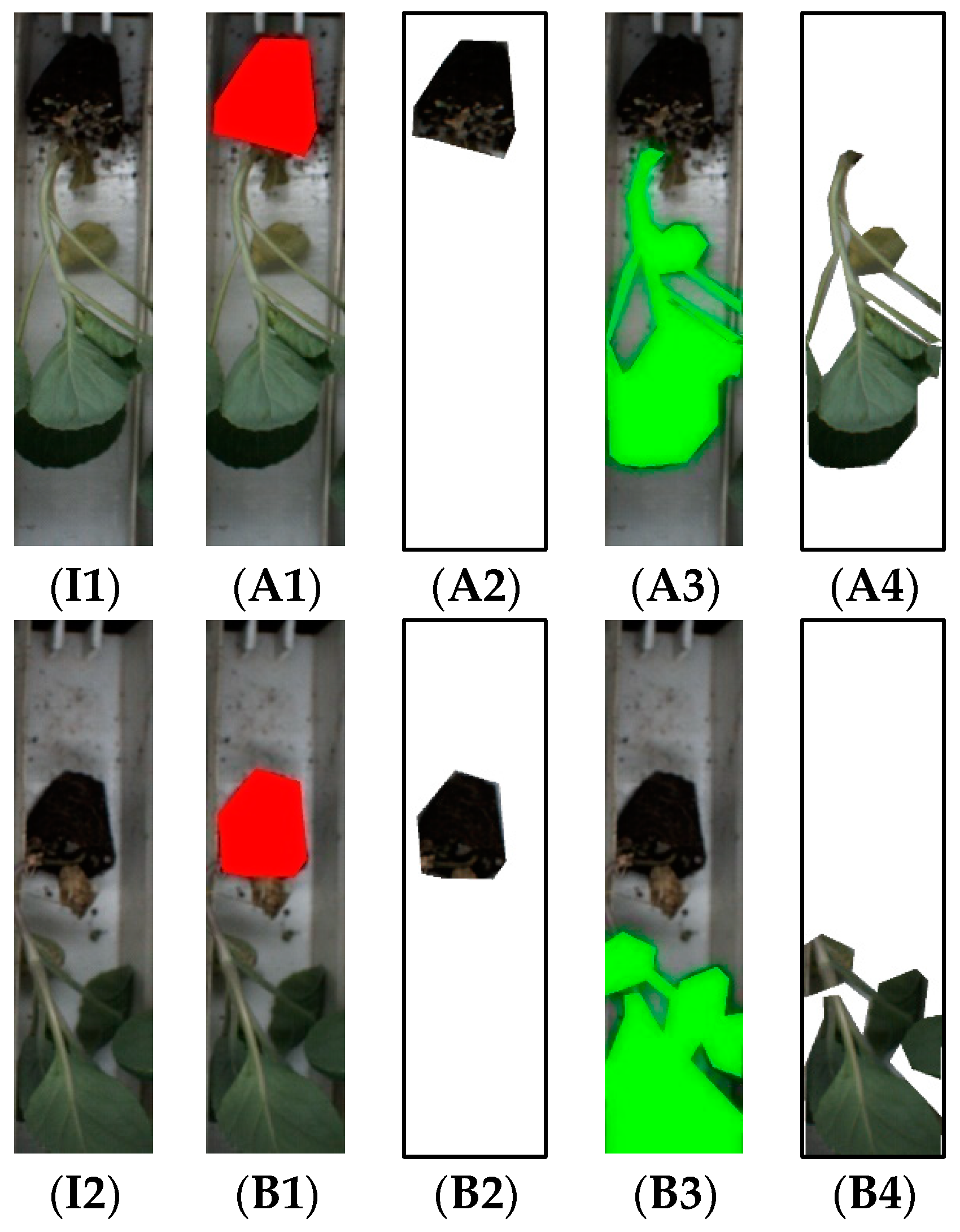 Identification of Cabbage Seedling Defects in a Fast Automatic ...