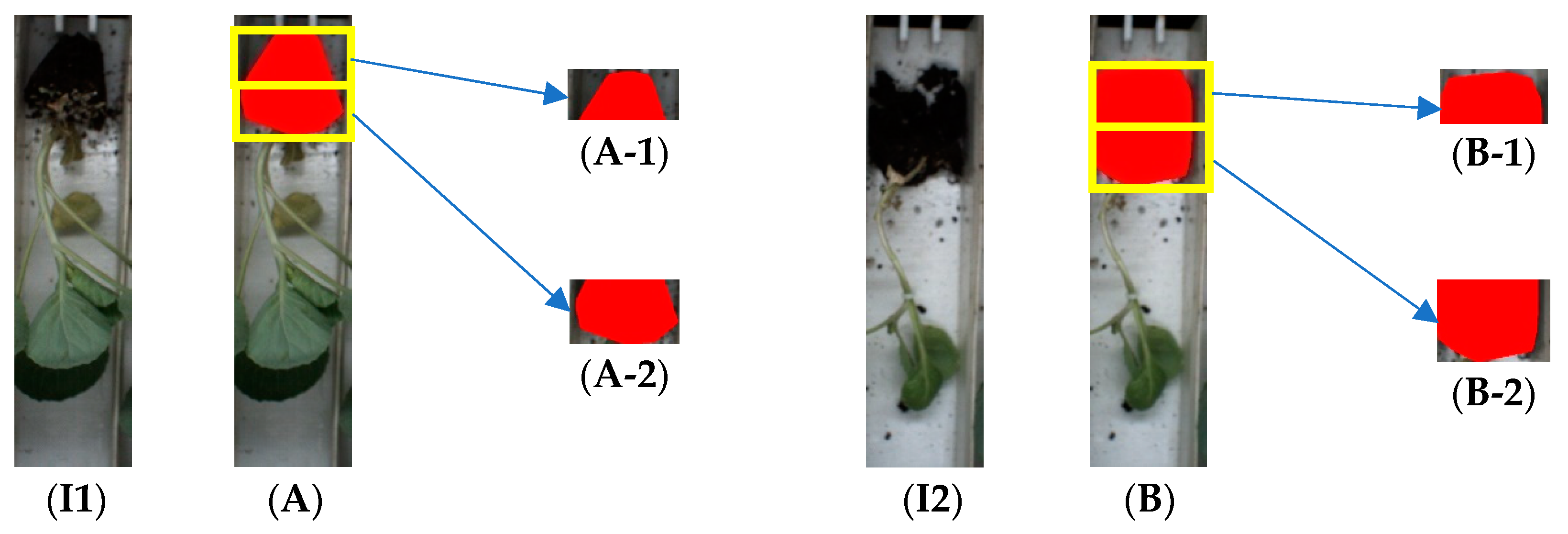 Identification of Cabbage Seedling Defects in a Fast Automatic ...