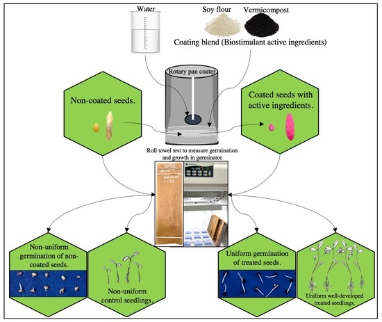 Agronomy | Free Full-Text | Biostimulant Seed Coating Treatments to Improve Cover Crop ...