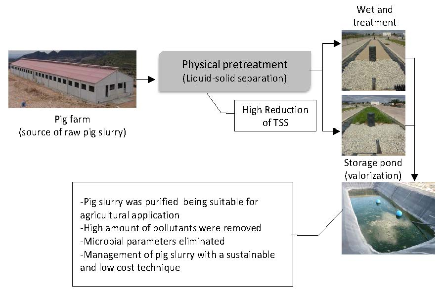 Agronomy | Free Full-Text | Efficiency of an Integrated Purification ...