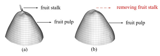 Fruit Morphological Measurement Based on Three-Dimensional Reconstruction