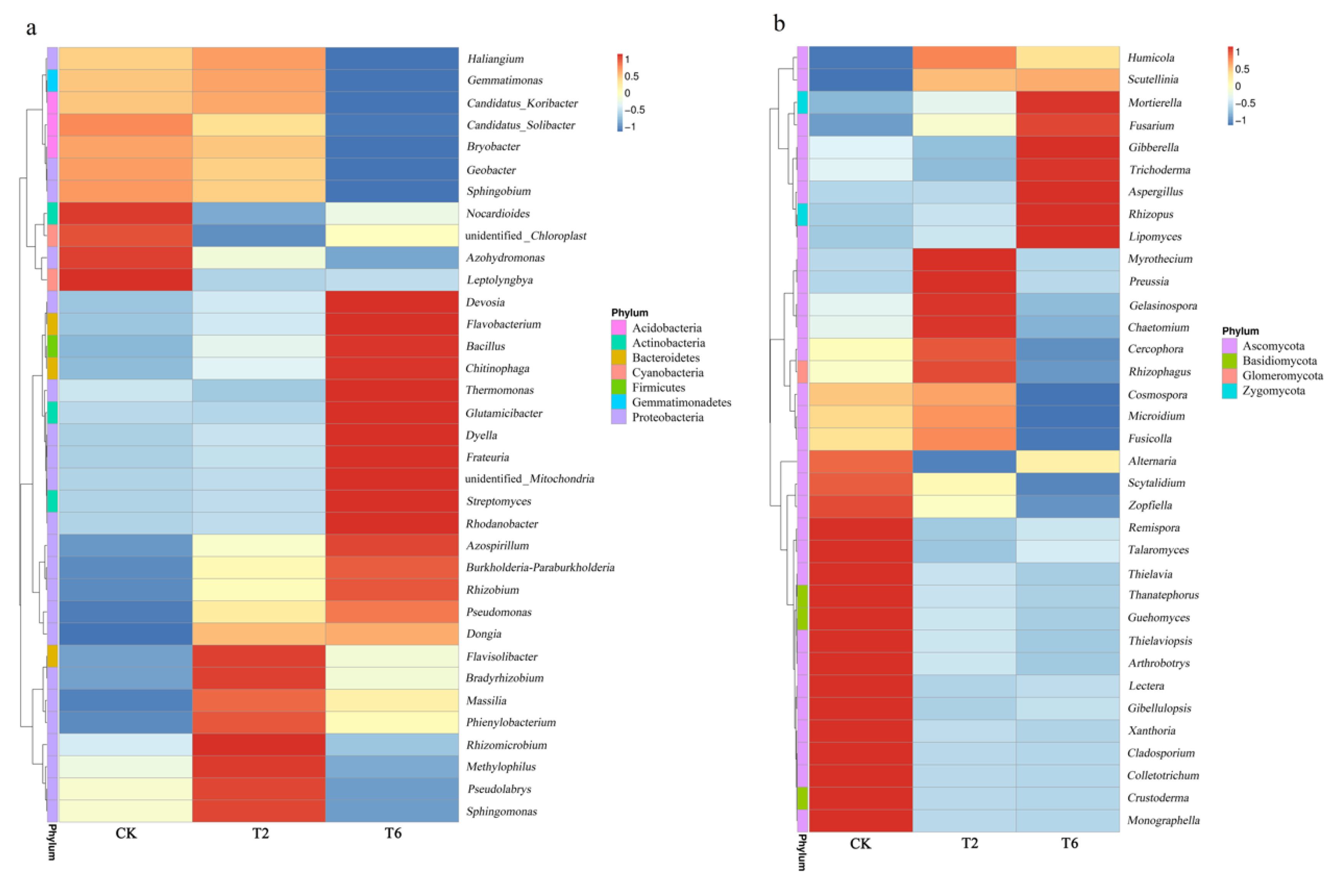 Prickly Ash Seed Kernel: A New Bio-Fumigation Material Against Tobacco Black Shank