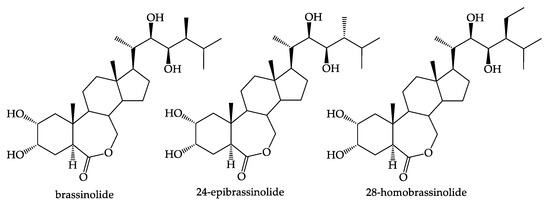 Epimeric Mixtures of Brassinosteroid Analogs: Synthesis, Plant Growth ...