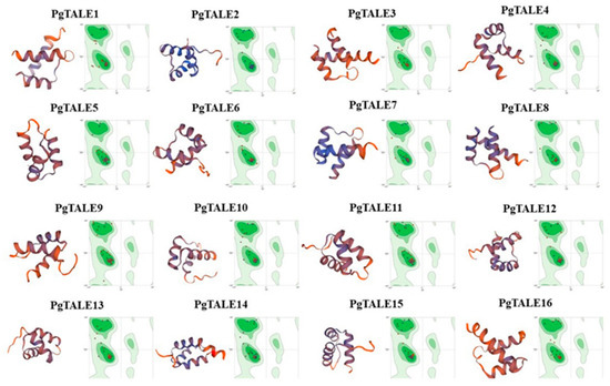 Genome-wide Identification and Expression Analysis of TALE Gene Family ...