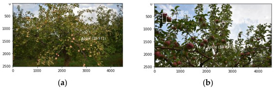 Using YOLOv3 Algorithm with Pre- and Post-Processing for Apple Detection in Fruit-Harvesting Robot