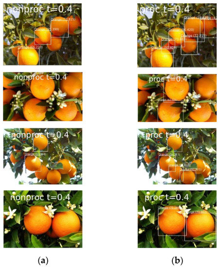 Using YOLOv3 Algorithm with Pre- and Post-Processing for Apple ...