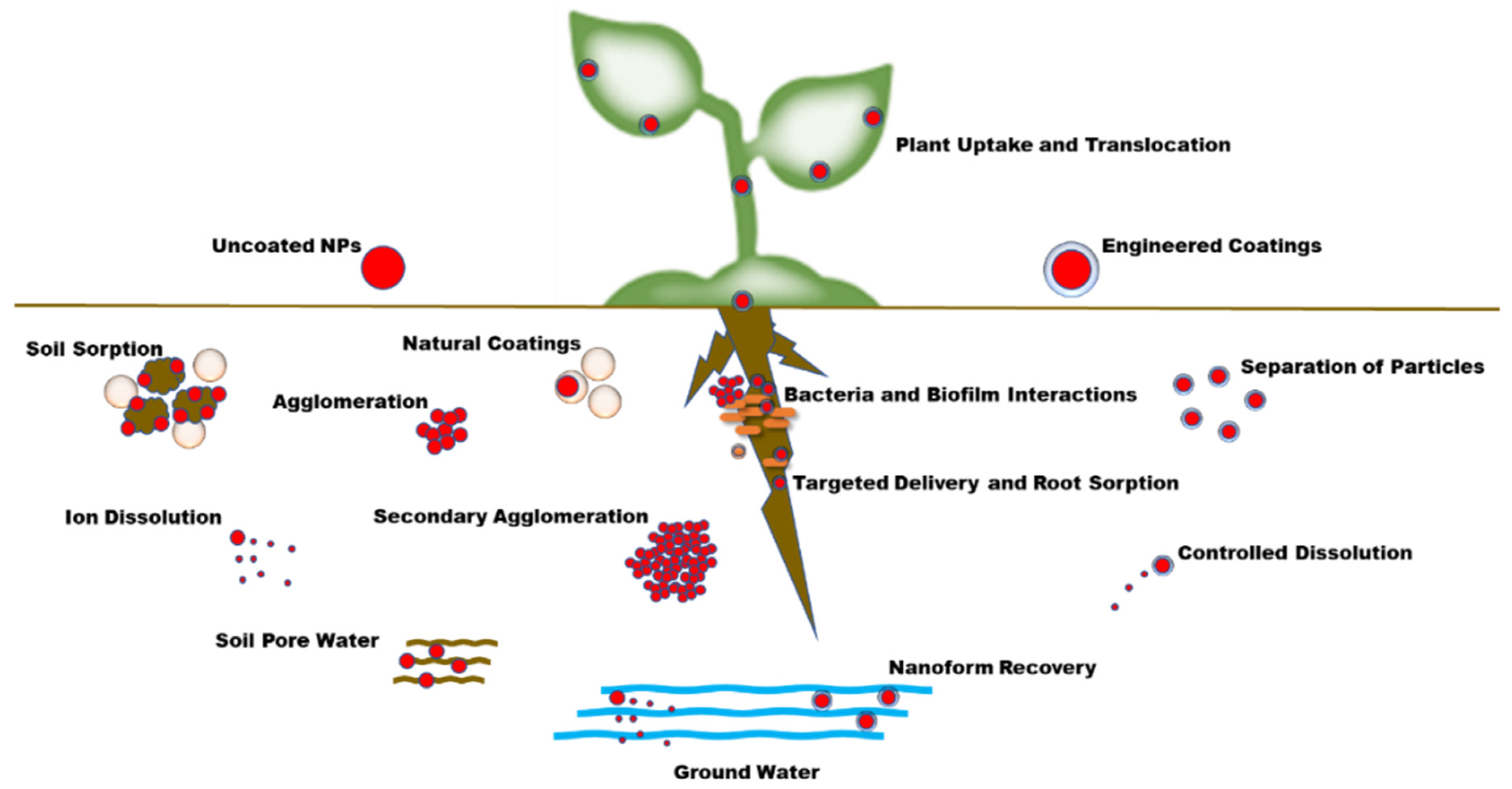 A Review of Metal and Metal-Oxide Nanoparticle Coating Technologies to ...