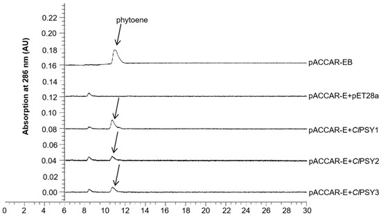 Functional Characterization and in Silico Analysis of Phytoene Synthase ...
