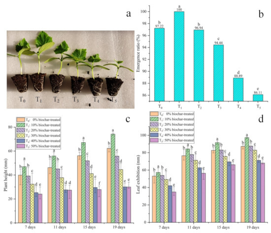 Effect of Compound Biochar Substrate on the Root Growth of Cucumber ...