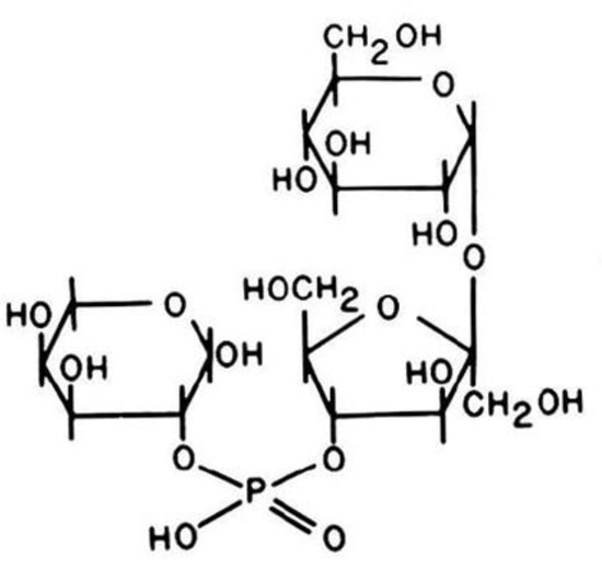 Biocontrol of Crown Gall by Rhizobium rhizogenes: Challenges in ...