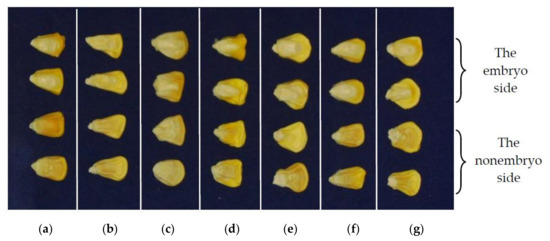 Evaluation of Cultivar Identification Performance Using Feature ...