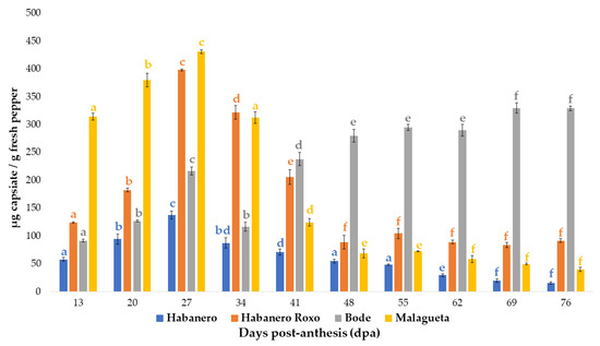 Changes in Capsiate Content in Four Chili Pepper Genotypes (Capsicum ...