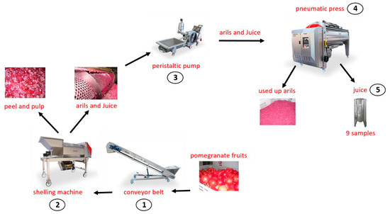 Effects of the Extraction Technology on Pomegranate Juice Quality