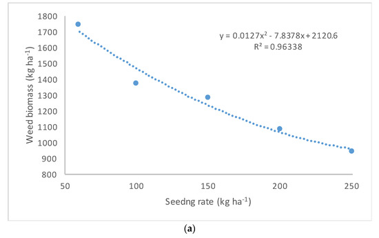 Integrated Management of Weeds in Direct-Seeded Rice in Cambodia
