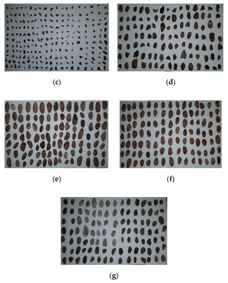 Feature Extraction for Cocoa Bean Digital Image Classification Prediction for Smart Farming ...