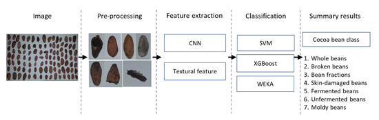 Feature Extraction for Cocoa Bean Digital Image Classification Prediction for Smart Farming ...