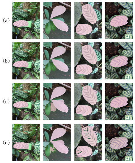 Leaf Segmentation and Classification with a Complicated Background ...