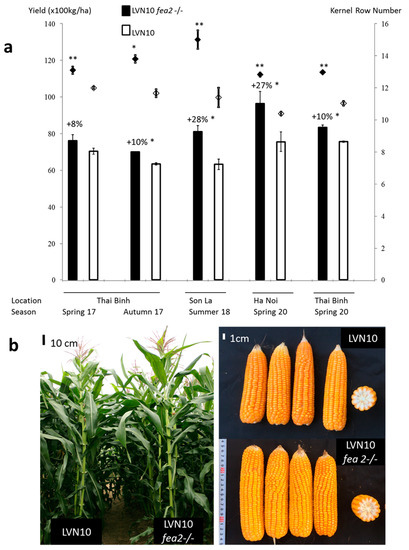 A Weak Allele of FASCIATED EAR 2 (FEA2) Increases Maize Kernel Row ...