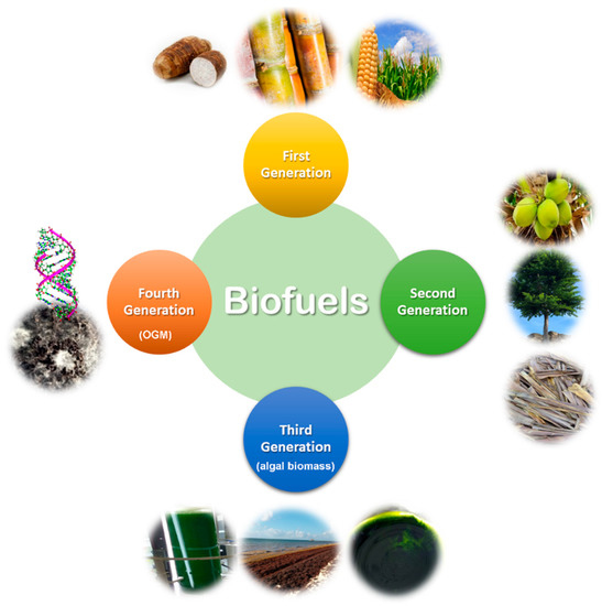 Consolidated Bioprocessing, an Innovative Strategy towards Sustainability for Biofuels ...