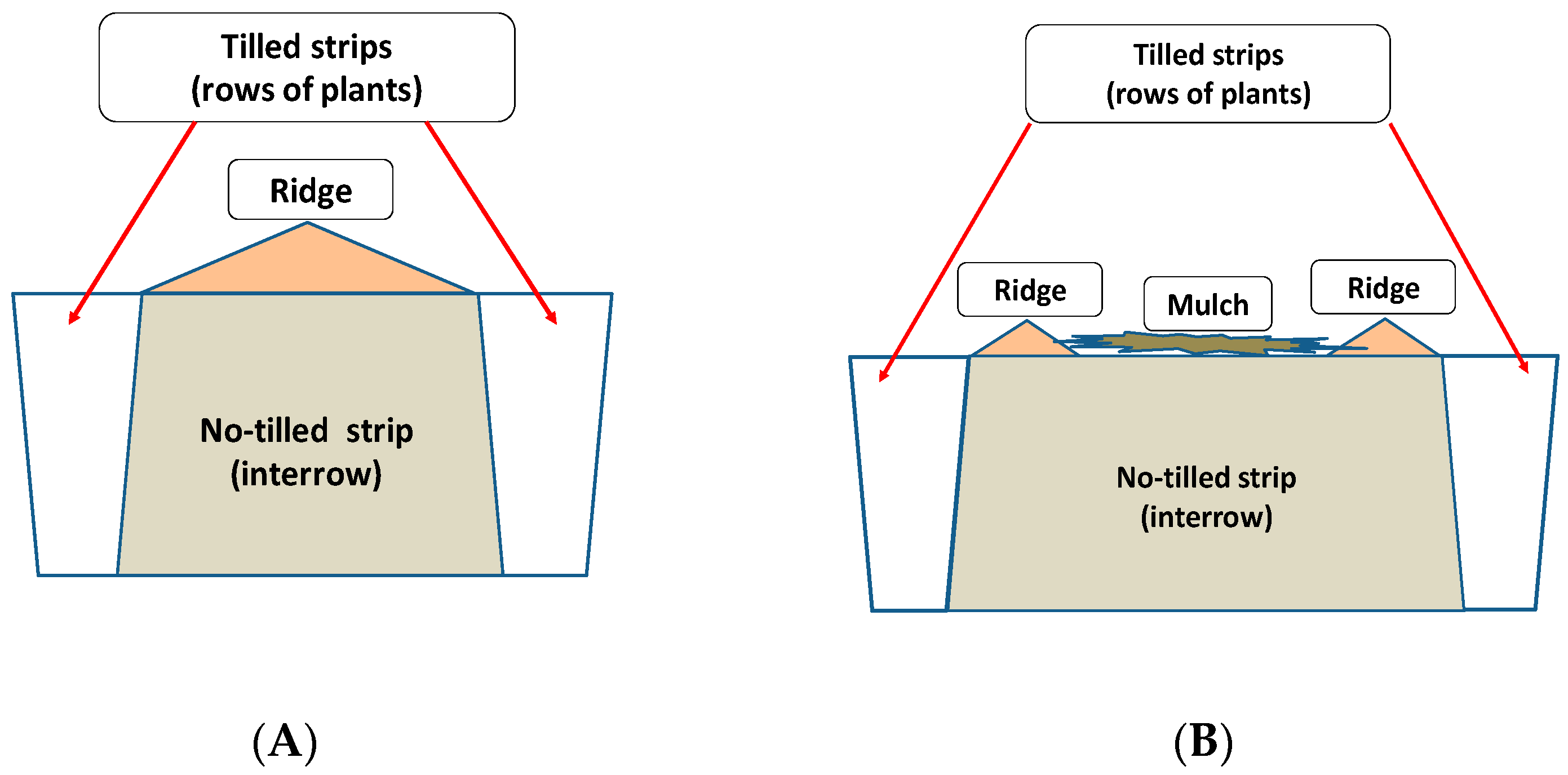 A Strip-Till One-Pass System as a Component of Conservation Agriculture