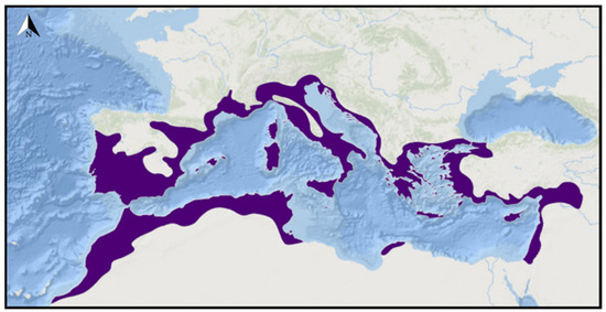 Mediterranean Olive Orchards under Climate Change: A Review of Future ...