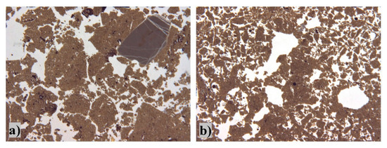 Soil Physical-Hydrological Degradation in the Root-Zone of Tree Crops ...