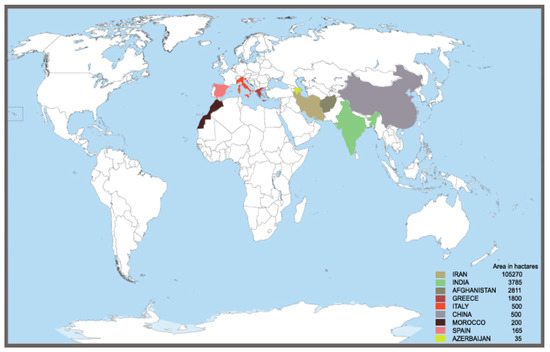 Corm Rot of Saffron: Epidemiology and Management
