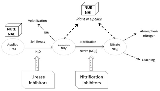 Evaluation of Various Nitrogen Indices in N-Fertilizers with Inhibitors ...