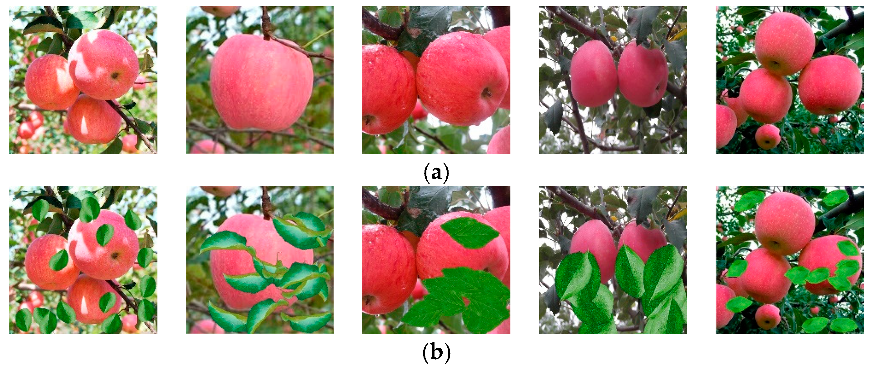 Apple Detection in Complex Scene Using the Improved YOLOv4 Model