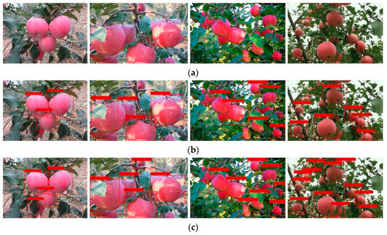 Apple Detection in Complex Scene Using the Improved YOLOv4 Model