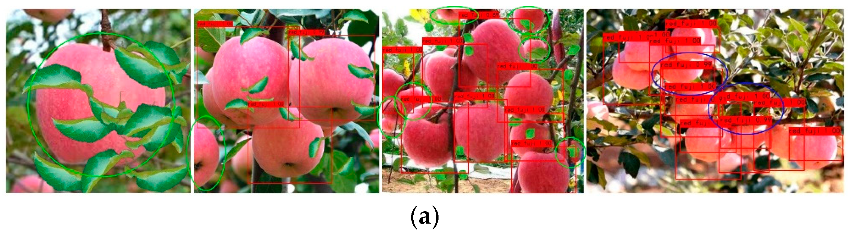 Apple Detection in Complex Scene Using the Improved YOLOv4 Model