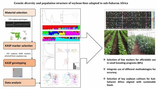 Agronomy | Free Full-Text | Genetic Diversity and Population Structure ...