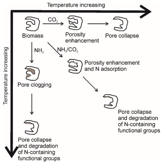 Recent Developments in Understanding Biochar’s Physical–Chemistry
