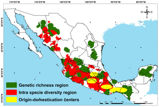 Spatial Delimitation of Genetic Diversity of Native Maize and Its ...