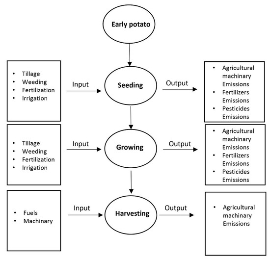 Life Cycle Assessment to Highlight the Environmental Burdens of Early ...