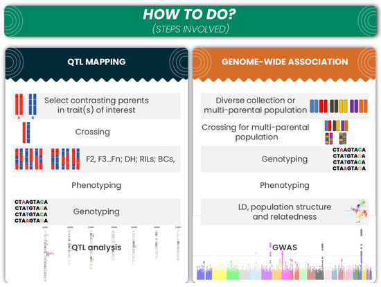 Advances in Genomics-Based Breeding of Barley: Molecular Tools and ...