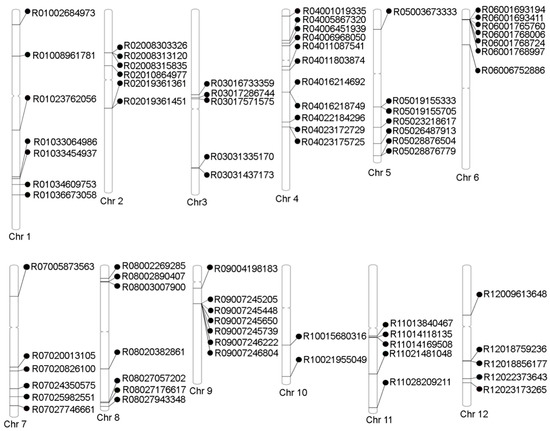 Estimation of the Genetic Diversity and Population Structure of ...