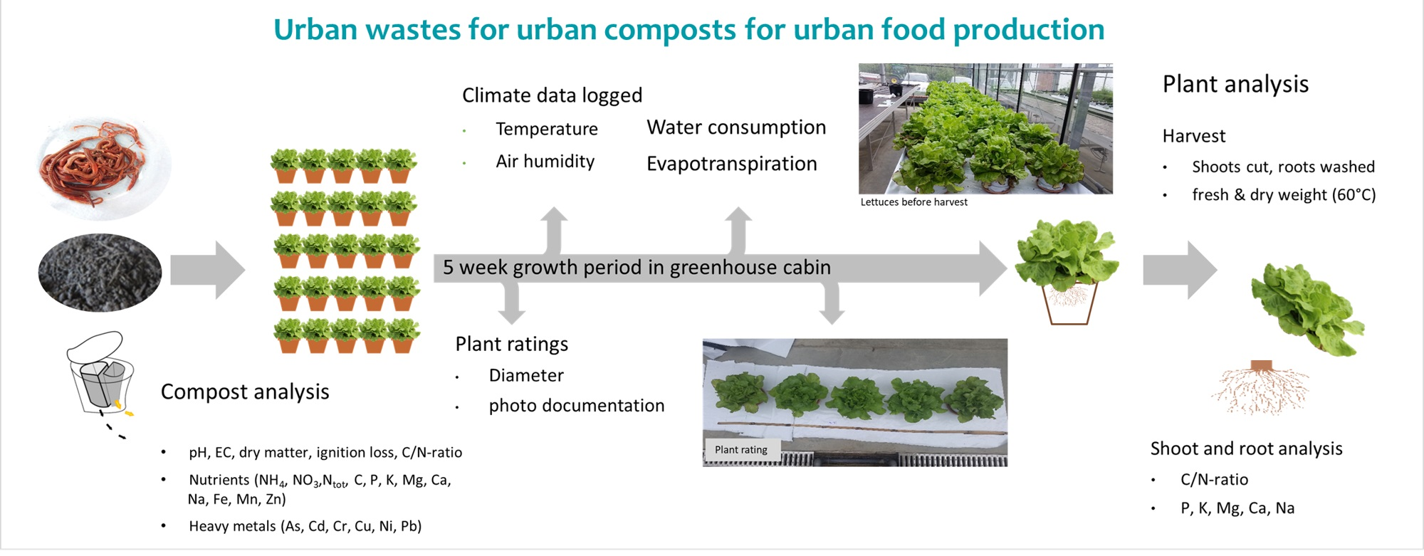 Agronomy | Free Full-Text | Urban Organic Waste for Urban Farming ...